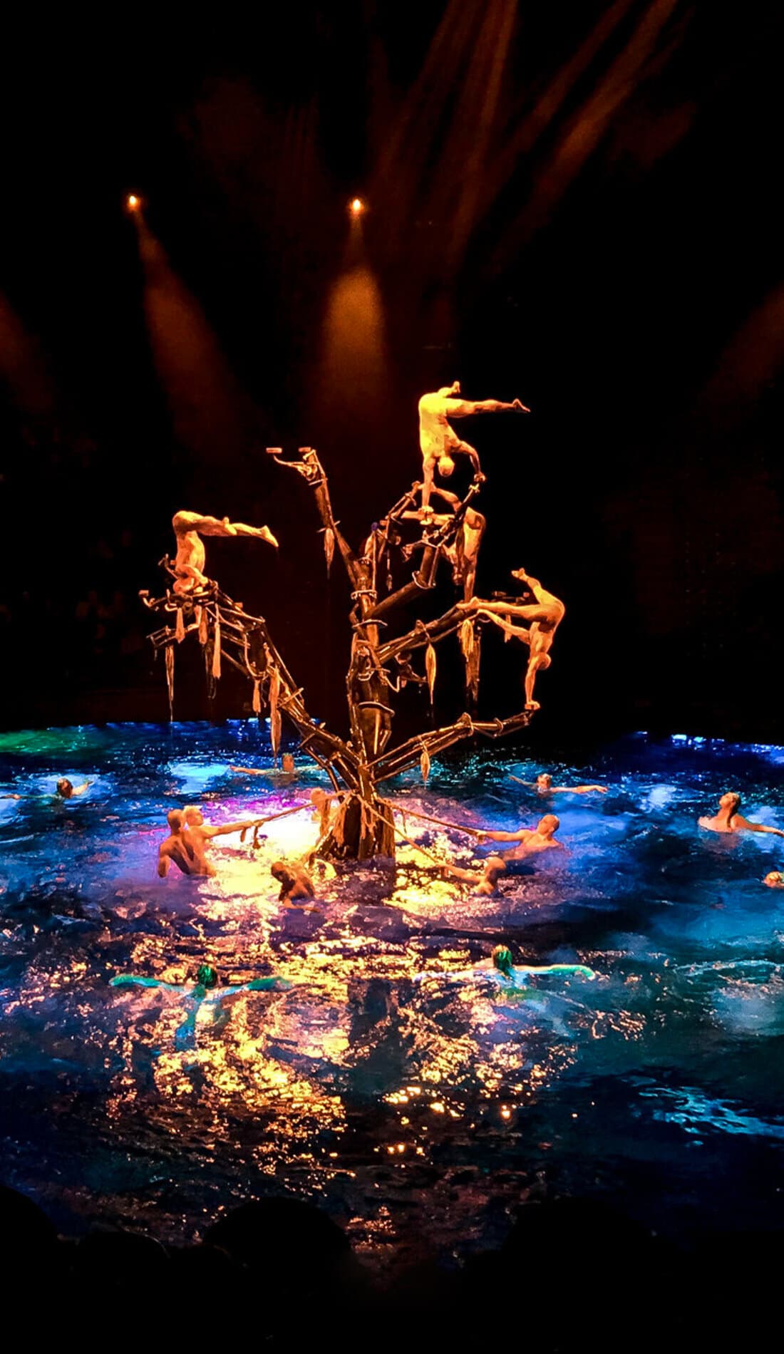 Le Reve Las Vegas Shows Tickets 2024 | SeatGeek