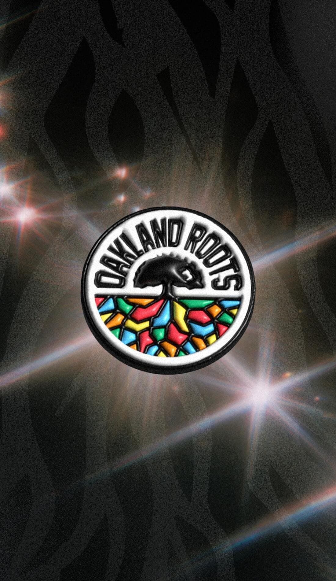 Oakland Roots SC Tickets - 2024 Oakland Roots SC Games | SeatGeek