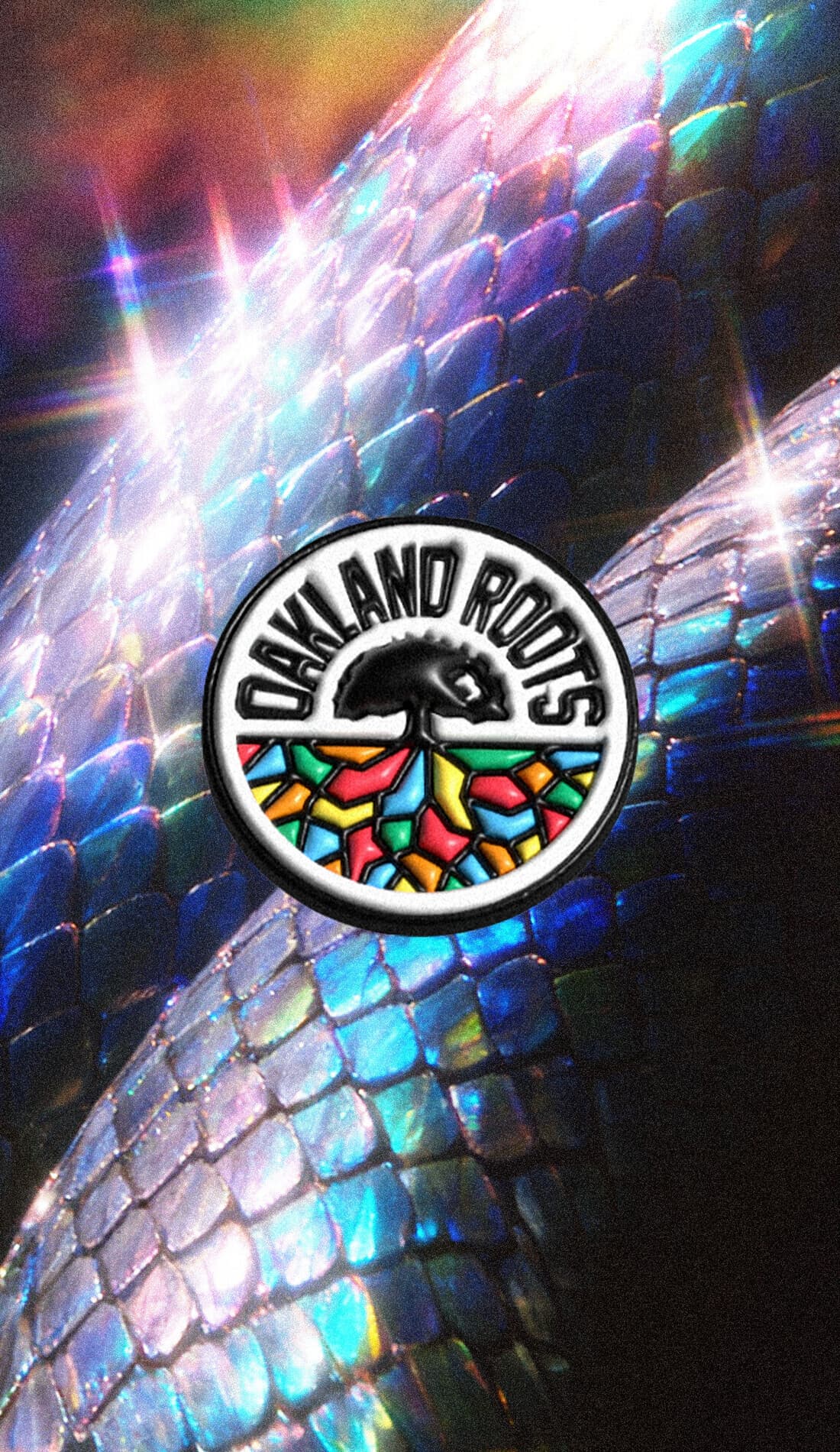 Oakland Roots SC Tickets - 2024 Oakland Roots SC Games | SeatGeek