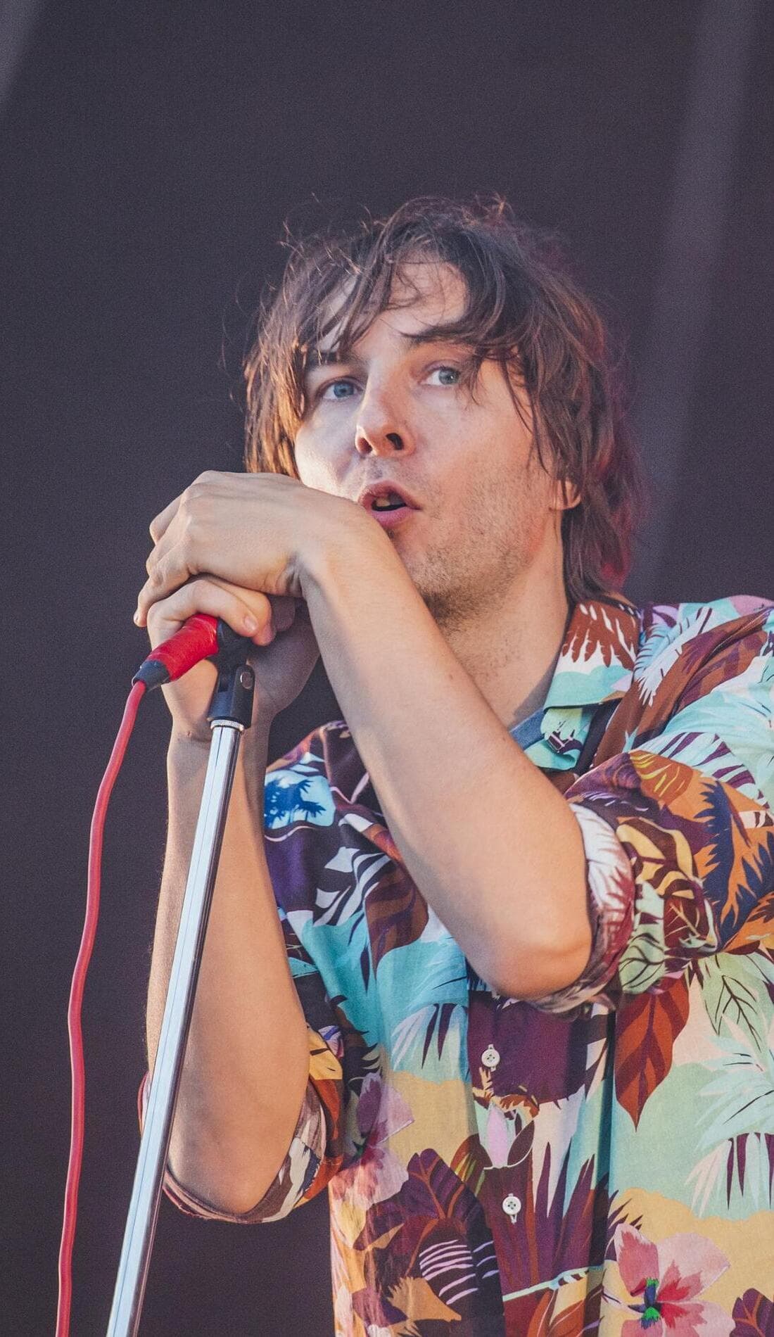 Phoenix - The Band Tickets & Concert Tour Dates 2024 | SeatGeek