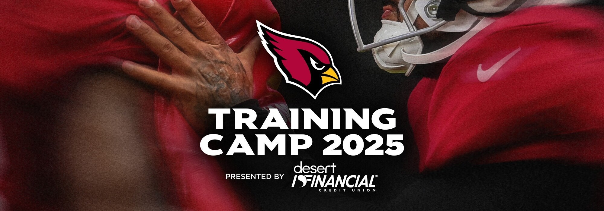 Arizona Cardinals Seating Map | Cabinets Matttroy