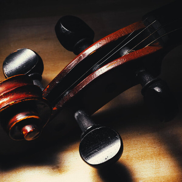 Beethoven Tickets, 2024-2025 Showtimes & Locations | SeatGeek