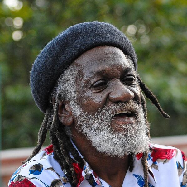 Inna de Yard Concert Parking Passes | SeatGeek