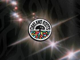 Oakland Roots SC Ticket Packages | SeatGeek