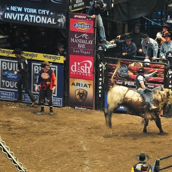 Rodeo Tickets 2021 | SeatGeek