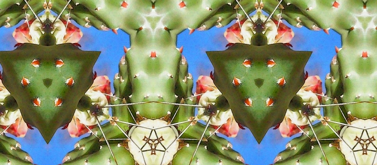 SONIC BLOOM Concert Tickets, 2023-2024 Schedule, Lineup & Locations ...