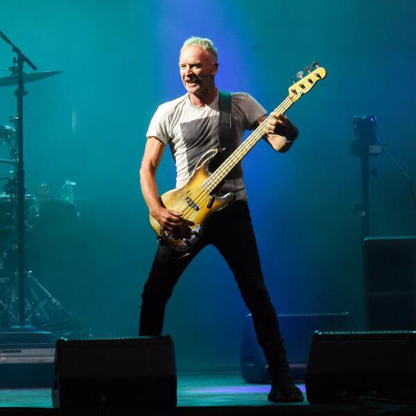 Sting Tickets & Concert Tour Dates 2024 | SeatGeek